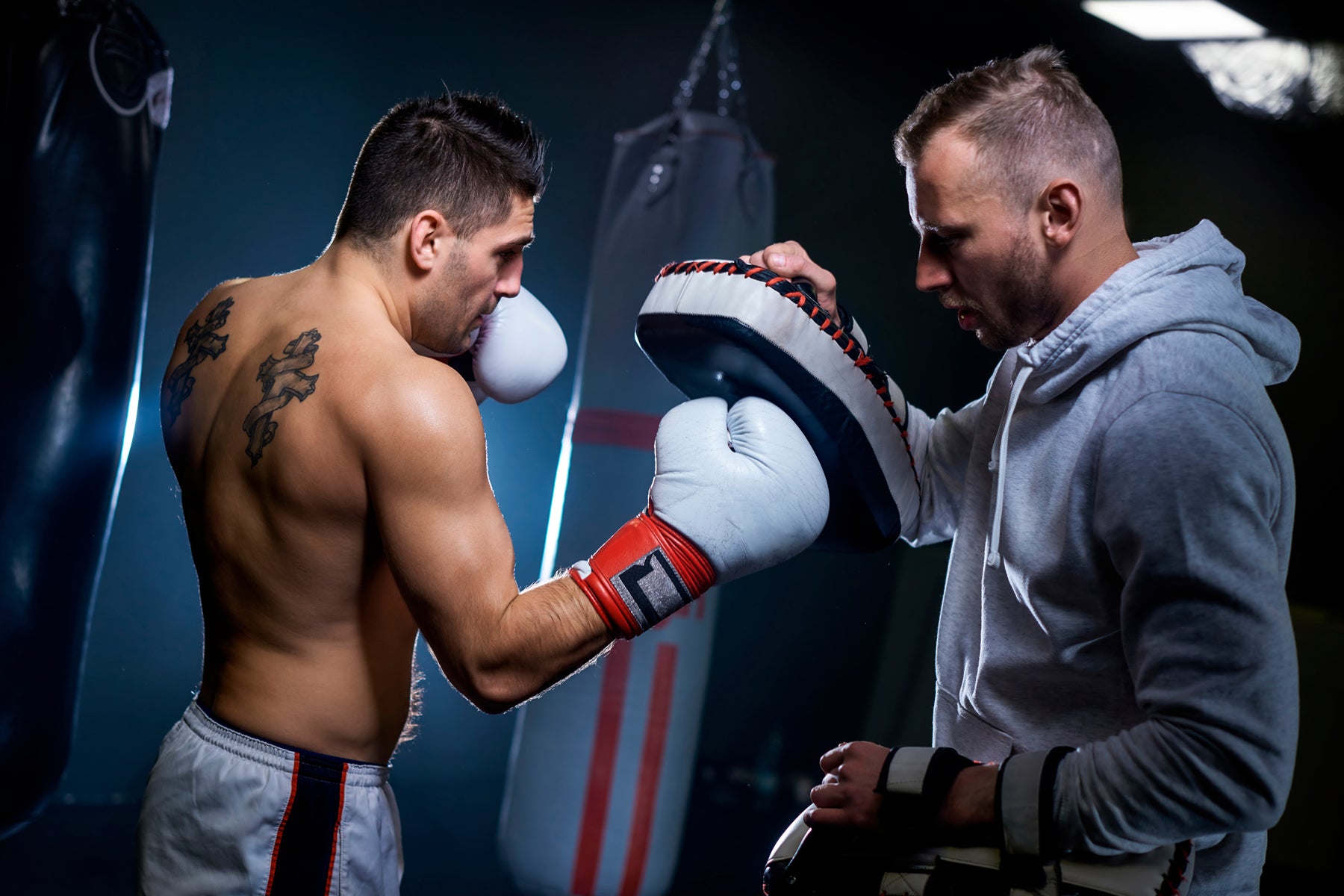 MMA Fight Store - Australia's Leading Mixed Martial Arts Store