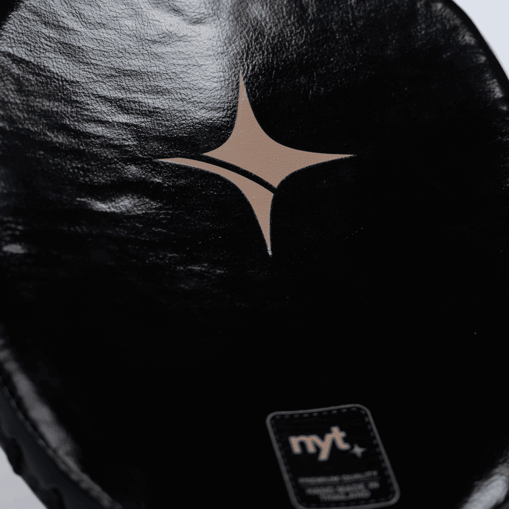 NYT Pro Boxing Micro Mitts – MMA Fight Store