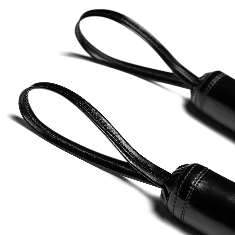 Hayabusa Boxing Training Sticks – MMA Fight Store
